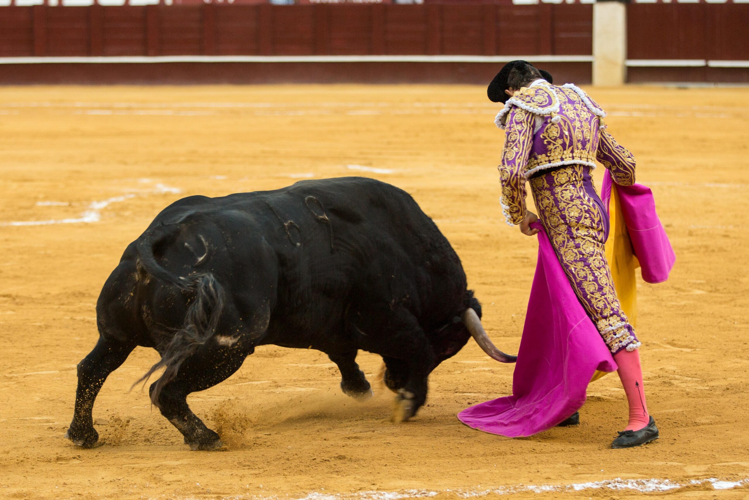 LA TAUROMAQUIA ES POLIÉDRICA - Cuadernos de Tauromaquia