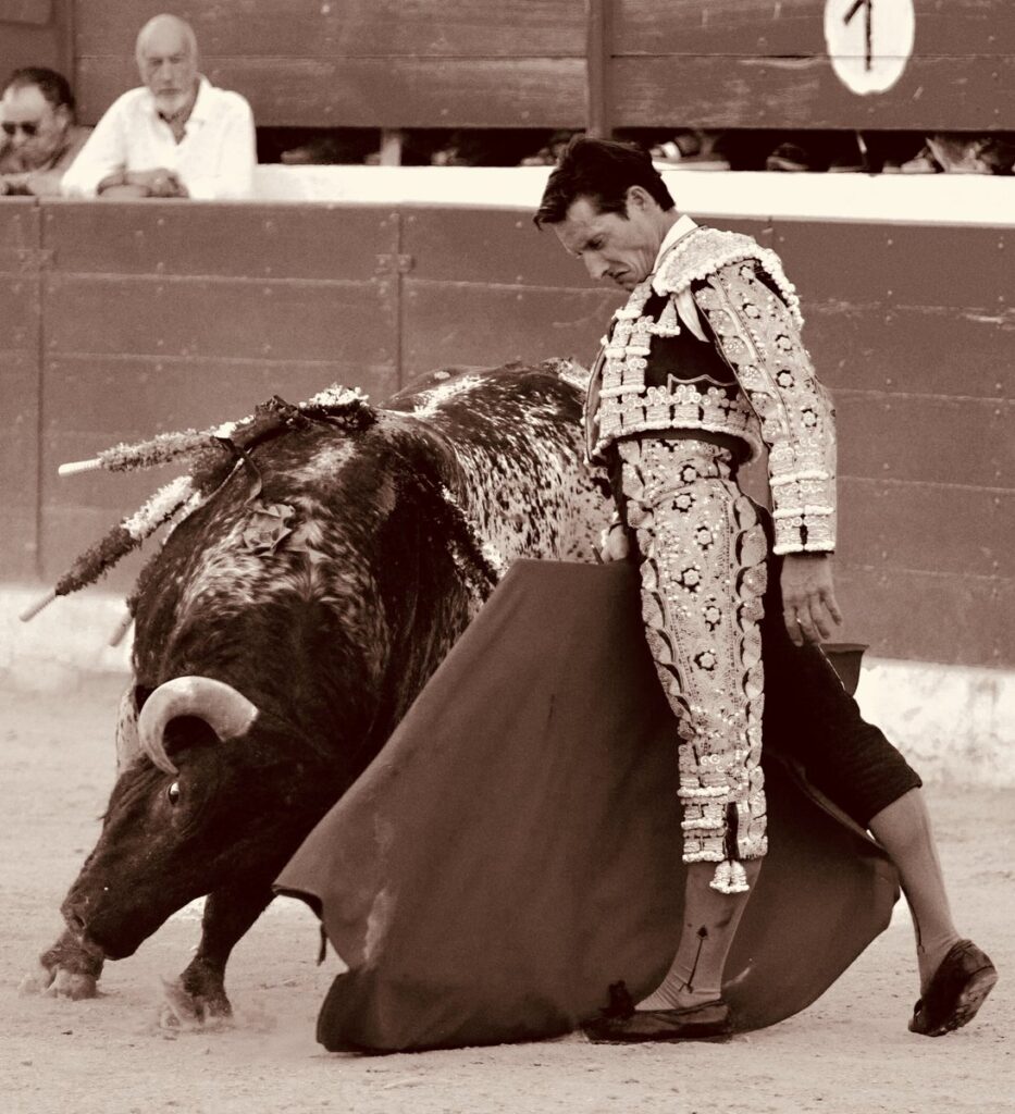 EL TORERO Y EL TOREADOR - Cuadernos de Tauromaquia
