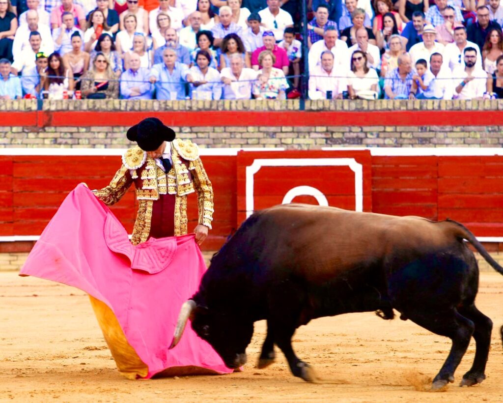 LO REVOLUCIONARIO ES TOREAR BIEN - Cuadernos de Tauromaquia